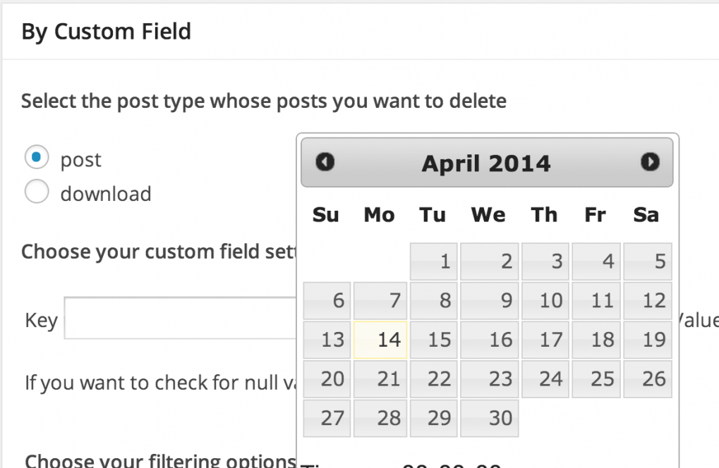 Scheduler for Deleting Posts by Custom Field | Bulk WP