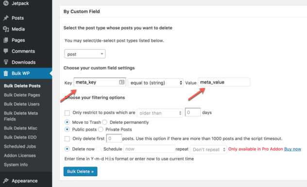 bulk-delete-by-custom-field-2 | Bulk WP