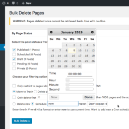 Scheduler for Deleting Pages by Status | Bulk WP